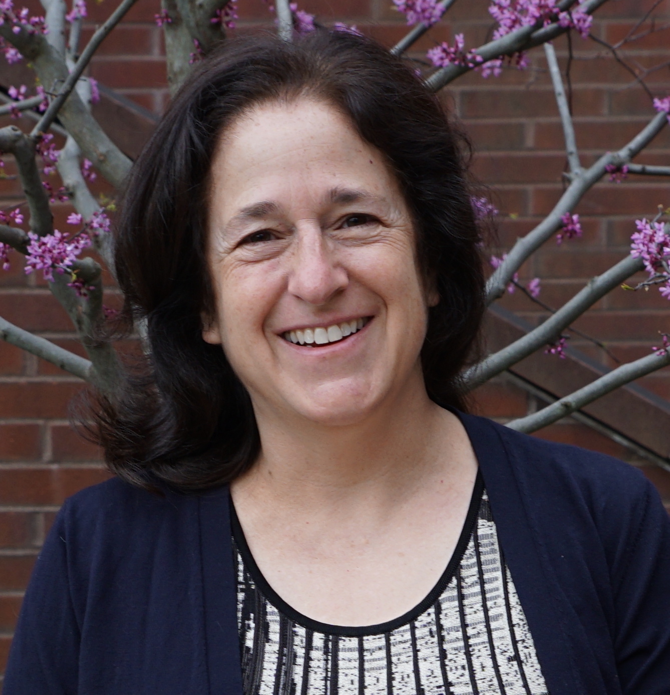 Our Virtual Tutoring Program | Cignition